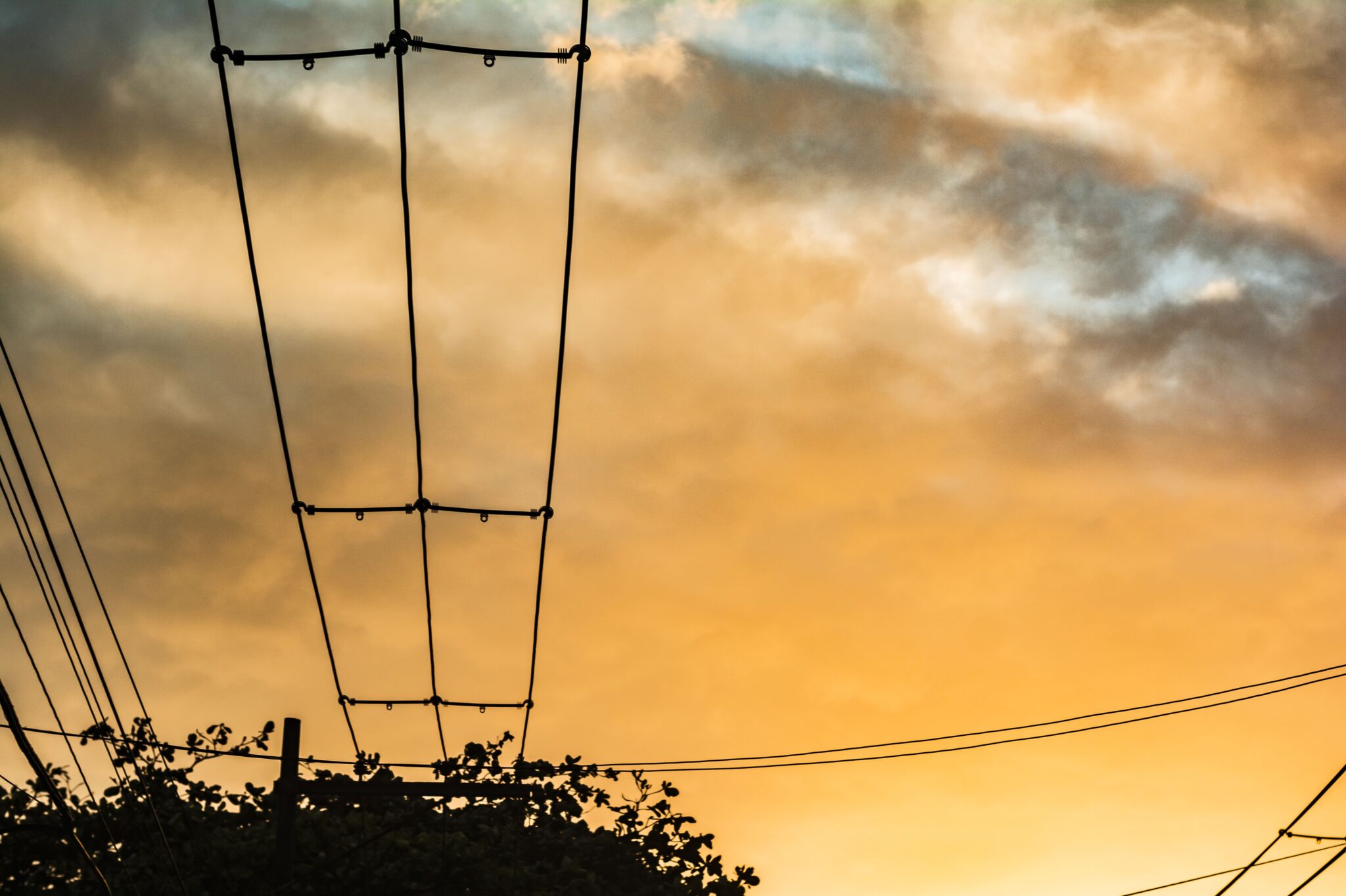 Pursuing Workers’ Compensation After a Power Line Accident in ...
